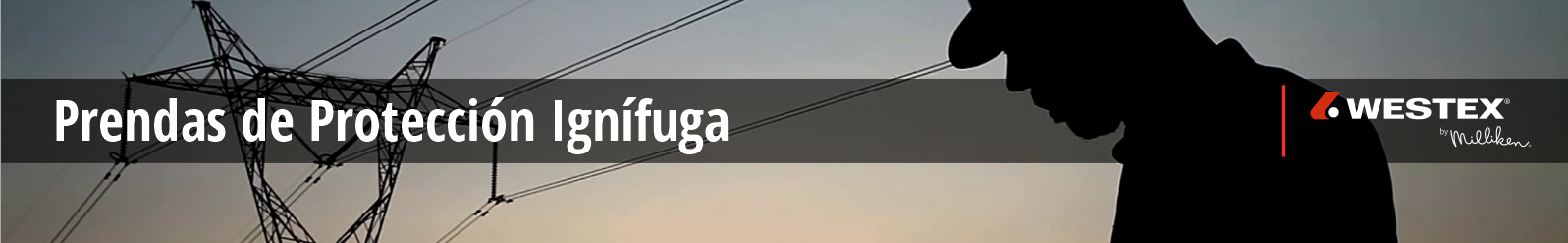 PRENDAS DE PROTECCION IGNIFUGA